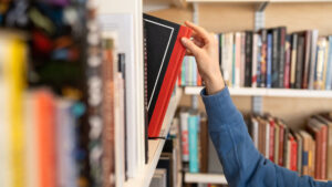 5 Ways to Embrace Continuous Learning in Your Daily Life