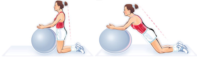 5 Essential Core Exercises