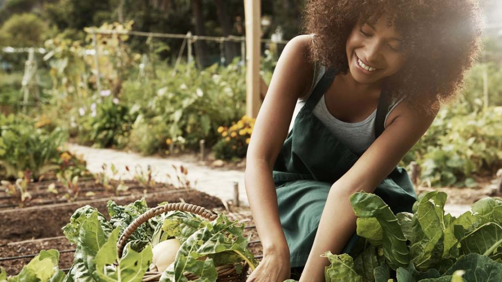 Living Better: 7 Simple Tips to Create a More Fulfilling Life