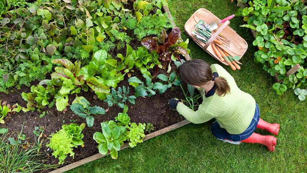 6 Tips for Creating a Sustainable Yard