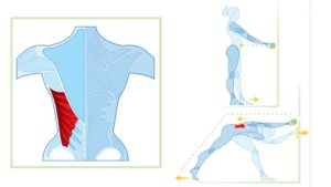 9 Stretches for Muscle Tightness