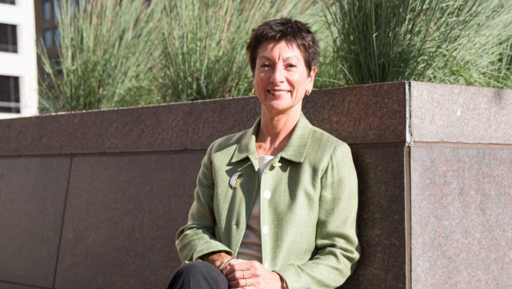 Letting the Sunshine In: Susan Zemke's Success Story