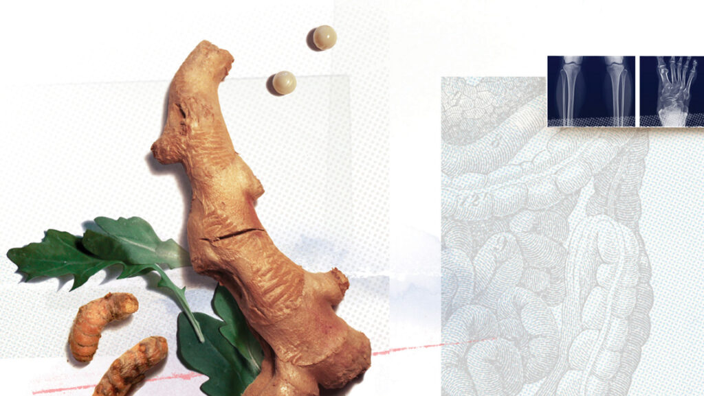 The Healing Arthritis Protocol