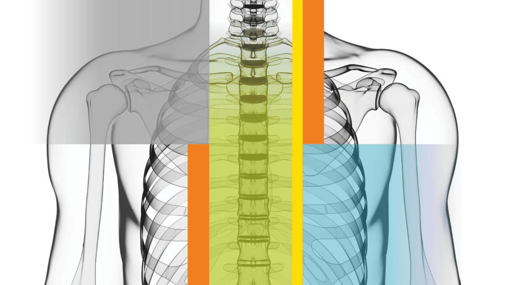 How to Strengthen Your Bones