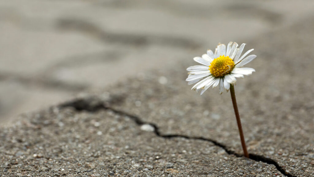 The 5 Best Ways to Build Resiliency