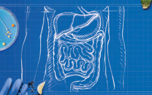 How to Build Your Microbiome