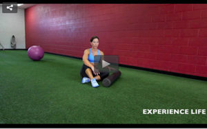 The Fascia Connection