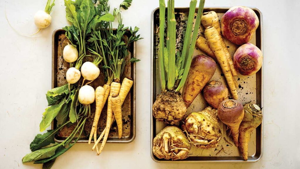 Examples Of Root Vegetables Exploring Roasted Root Vegetables | UNL