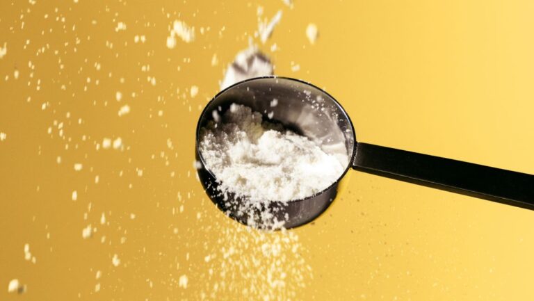 Which Protein Powder Is Right For You?