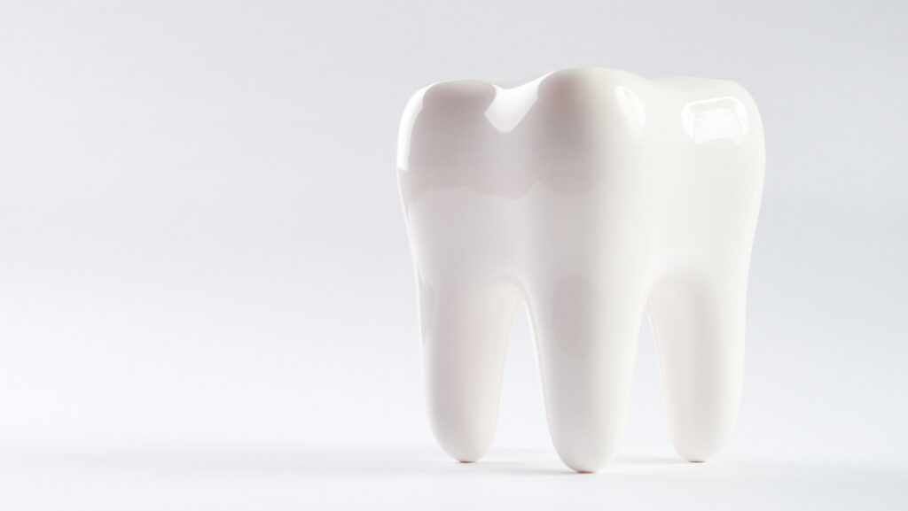 What Your Teeth Are Trying to Tell You