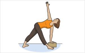 How to Do the Seated Twist