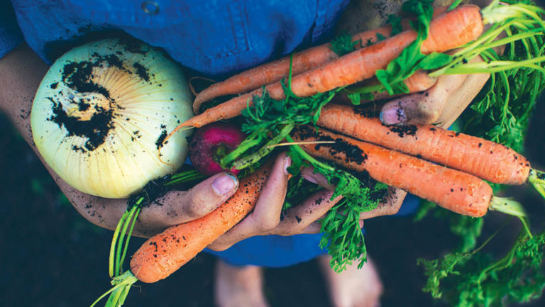 10 Steps to Climate-Friendly Eating