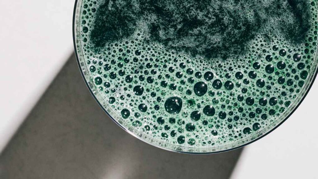 How to Build Your Own Shake