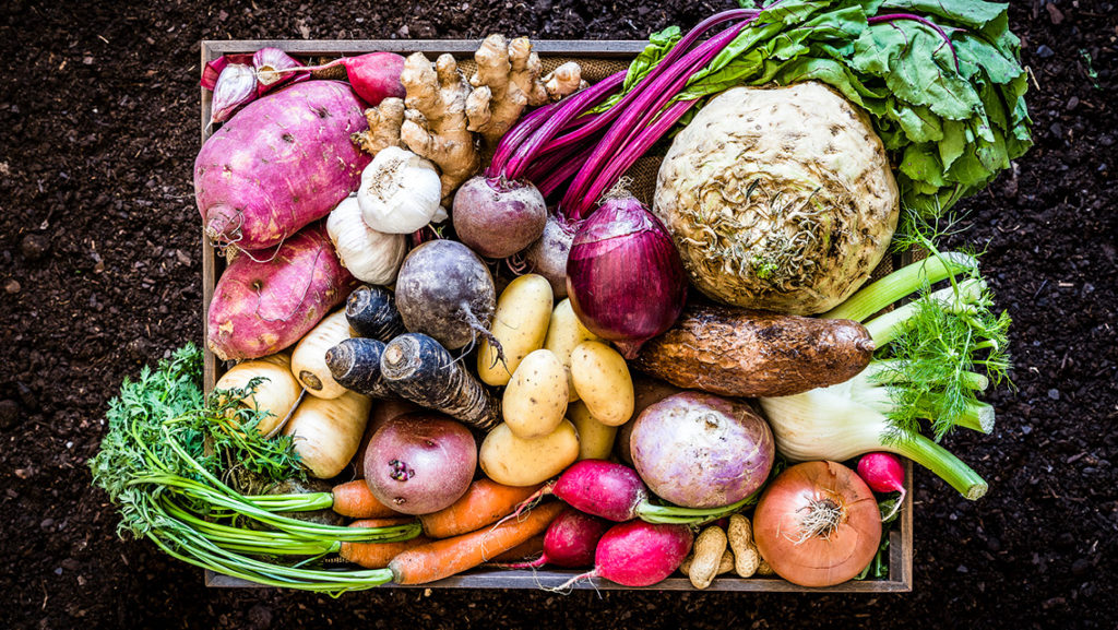 How to Cook With Root Vegetables
