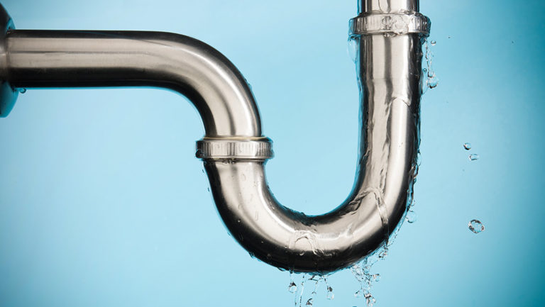 How to Heal a Leaky Gut