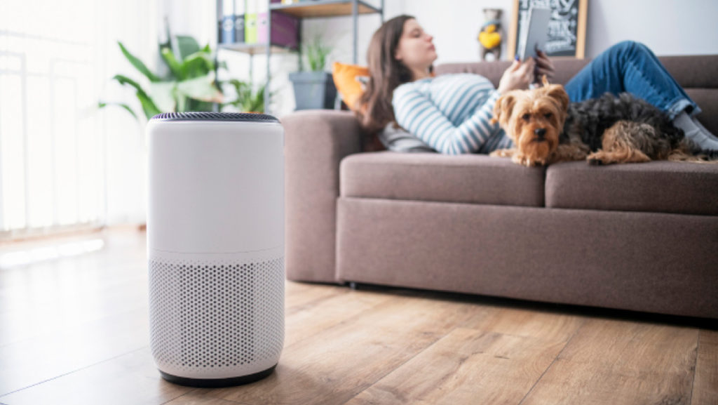 4 Simple Ways to Detox the Air in Your Home
