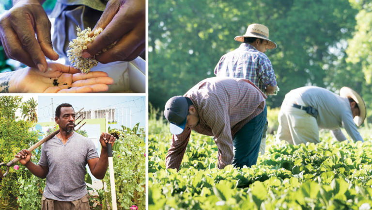 What Is Food Justice?