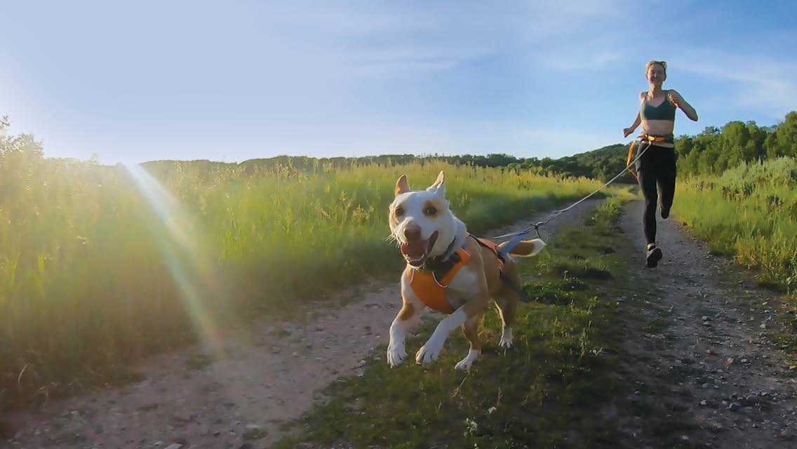 5 Adventures to Take With Your Dog