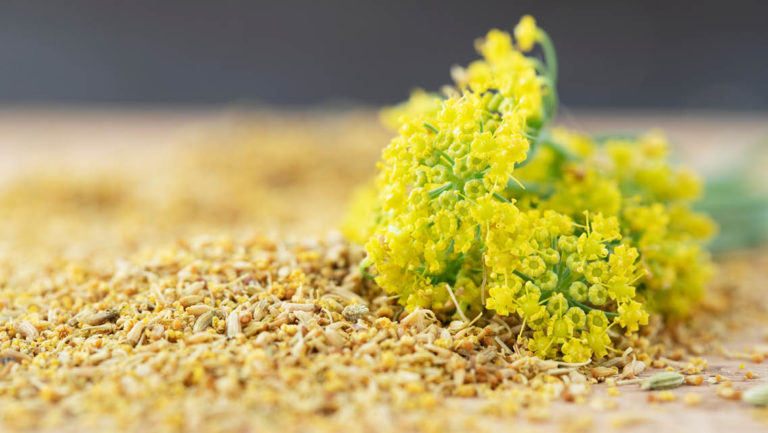 What Is Fennel Pollen and How Do I Use it?