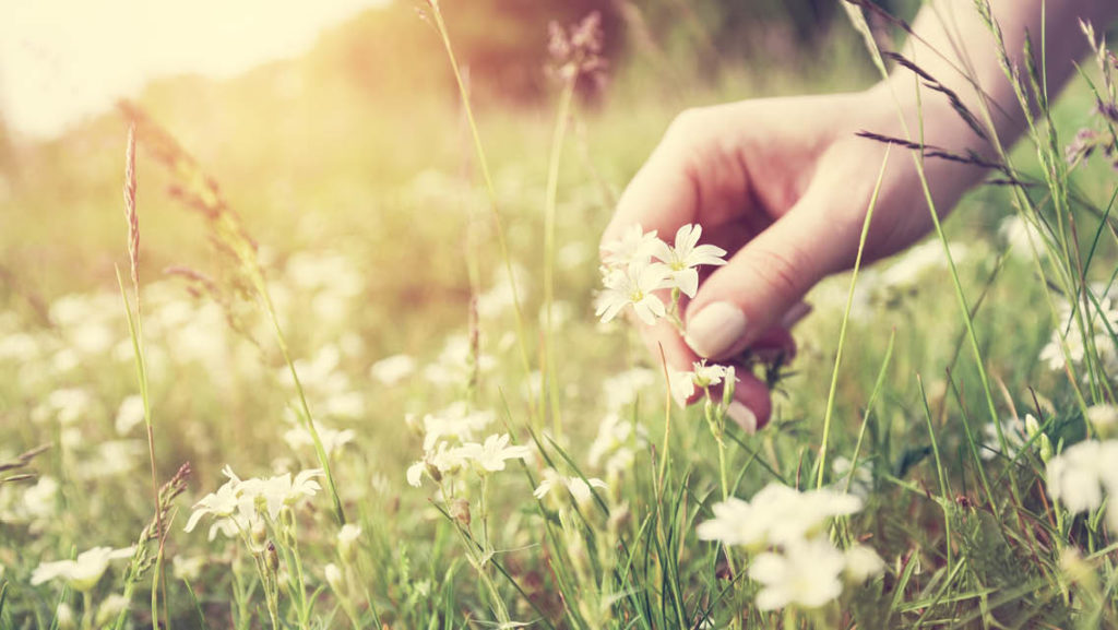 Why Inspiration Is the Engine of Joy