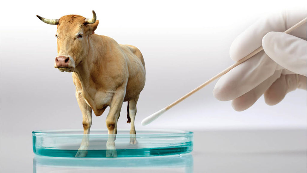 What is Biocultivated Meat?