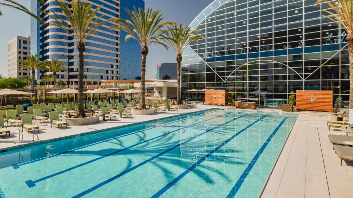 Step Inside: Life Time Harbour Island