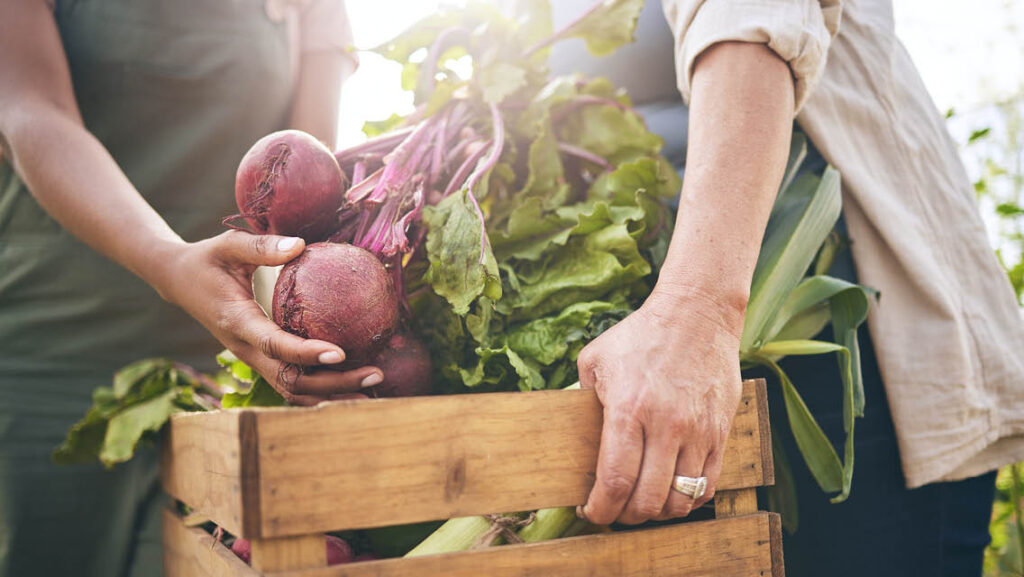 7 Ways to Find Food From Good Soil
