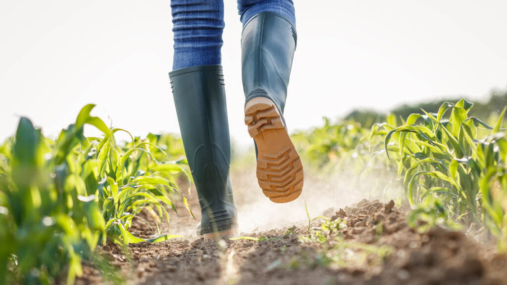 How Soil Health Is Connected to Human Health — and So Much More