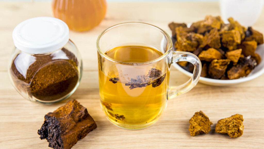 What Are the Health Benefits of Chaga Mushrooms?