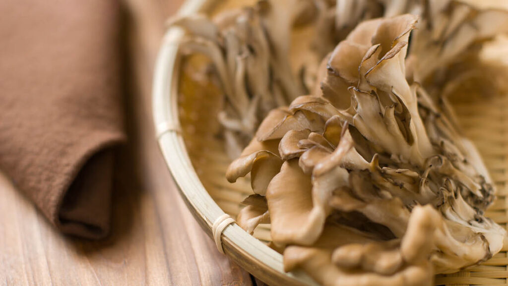 What Are the Health Benefits of Maitake Mushrooms?