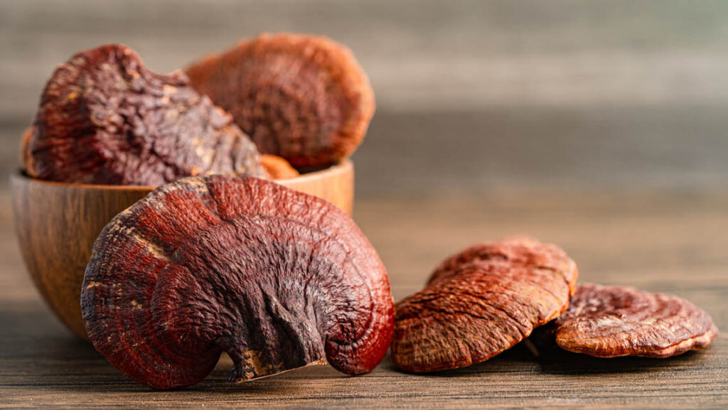 What Are the Health Benefits of Reishi Mushrooms?