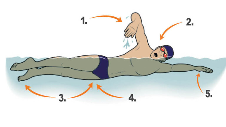 How to Swim a Faster Freestyle