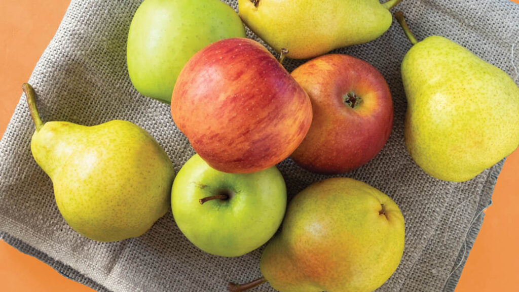 What are the Health Benefits of Apples and Pears?