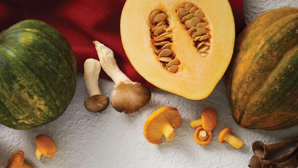 5 Healthy Plant-Forward Casseroles