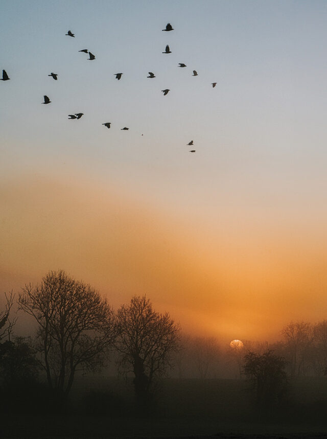 10 Practices to Get Out Of Your Head and Into the Present
