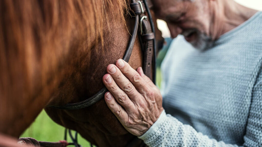 Horse Power: Equine-Assisted Therapy Retreats