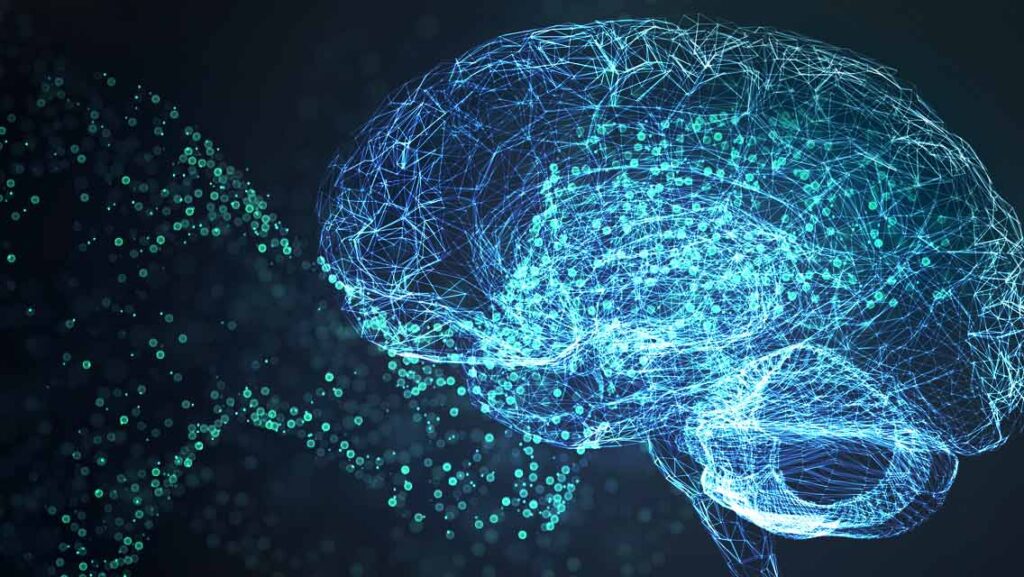 How Long Does It Take a Plastic Bottle to Decompose?