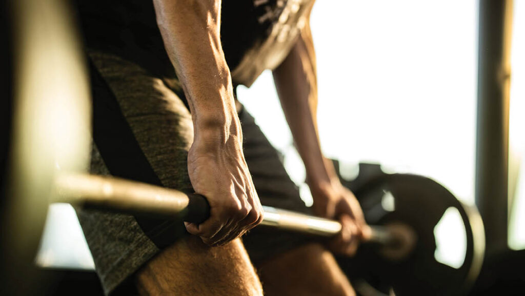 The Basic Anatomy of Your Pelvis