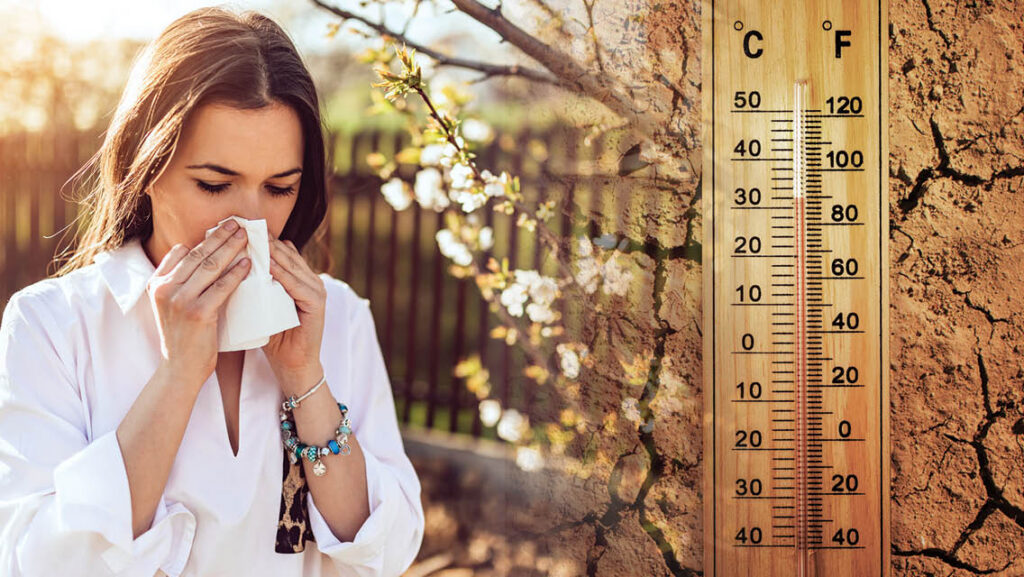 Why Seasonal Allergies Are Getting Worse — and What You Can Do About It